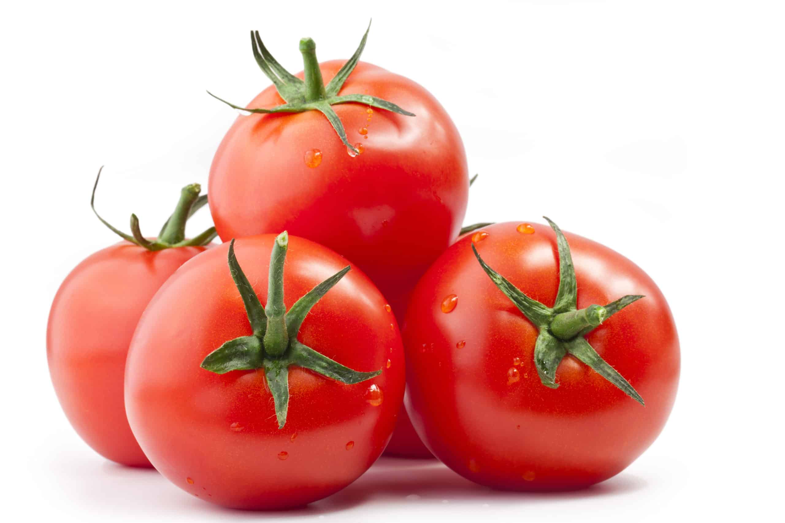 Tomato - Trust Seeds